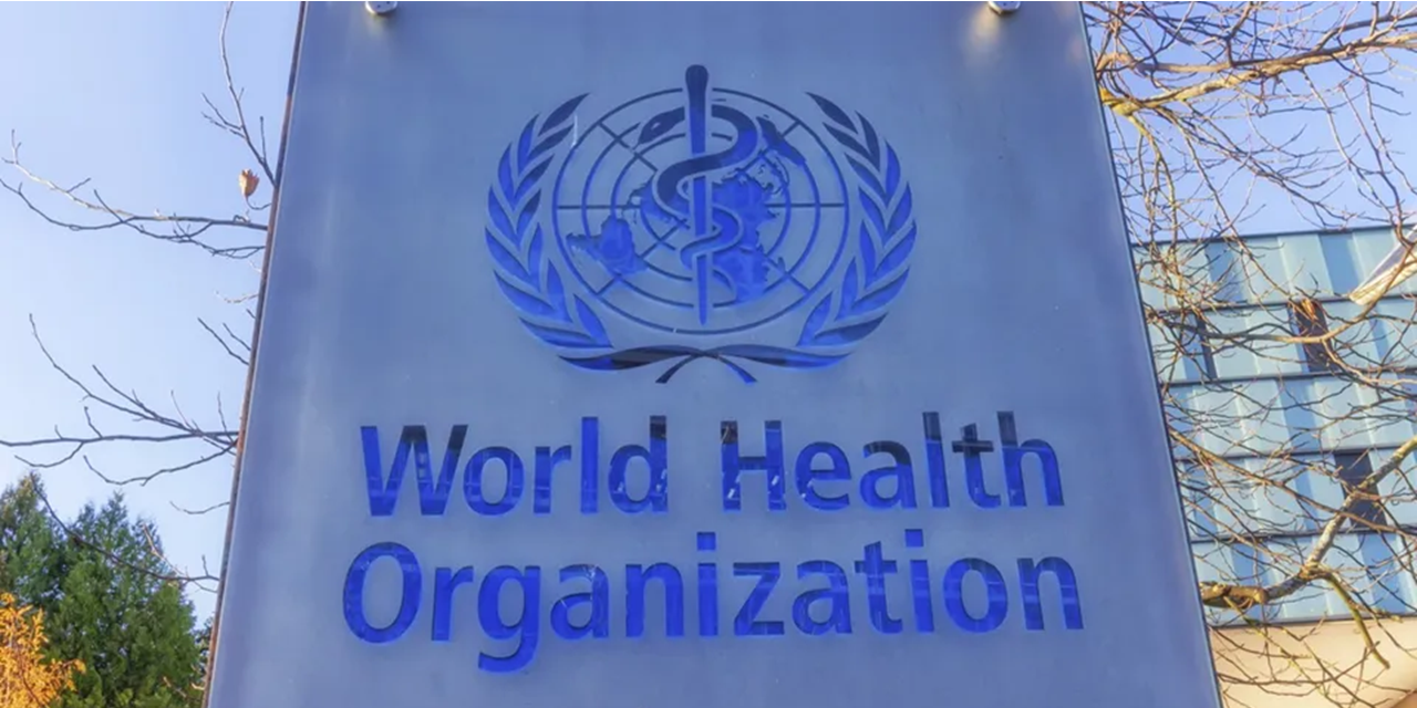 WHO updates foodborne disease manuals | Food and Farming | Before It's News