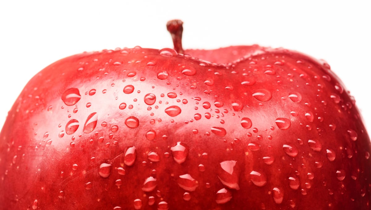 McIntosh, Honeycrisp, Jonathan, Fuji, Jonamac and Red Delicious apples ...