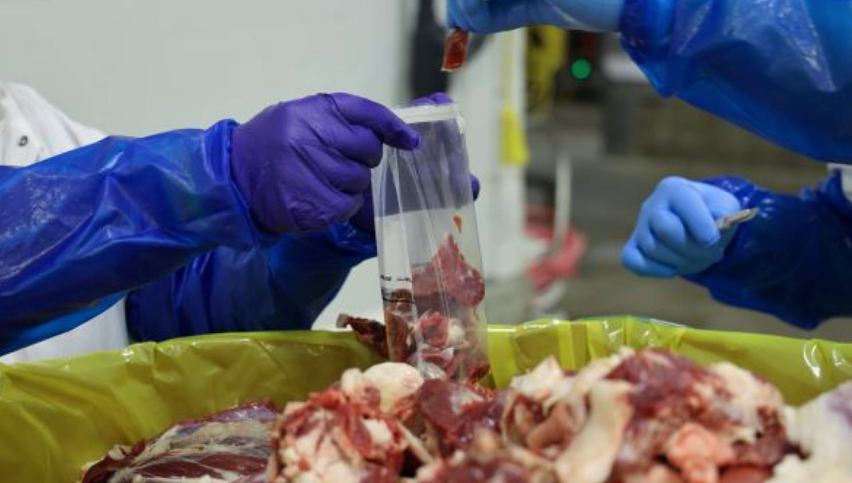 25 years later FSIS final rule on pathogen reduction still making a ...