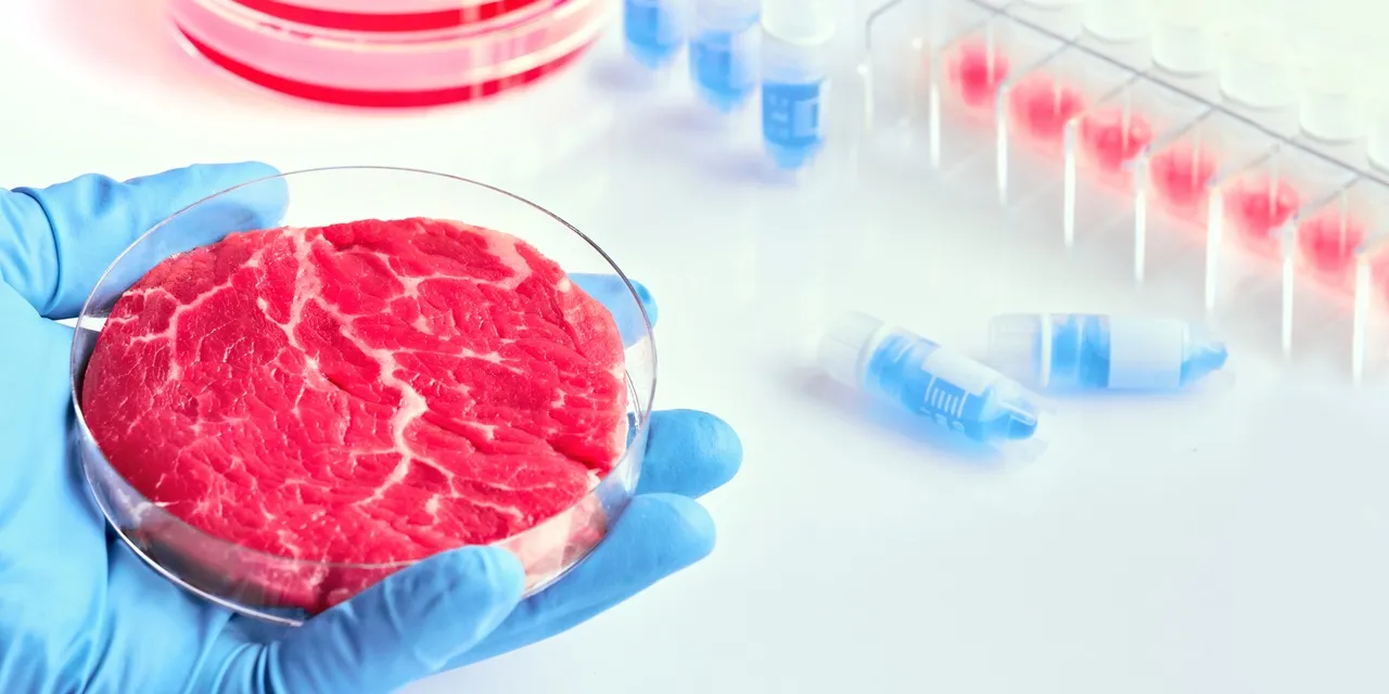UK releases guidance on cell-based products | Food Safety News