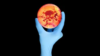 Europe reports record high E. coli and Listeria levels | Food Safety News